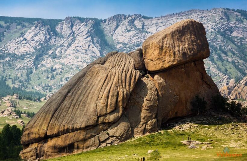 5 day adventure Khuvsgul lake and Terelj National park - Who Is This Tour Best For?