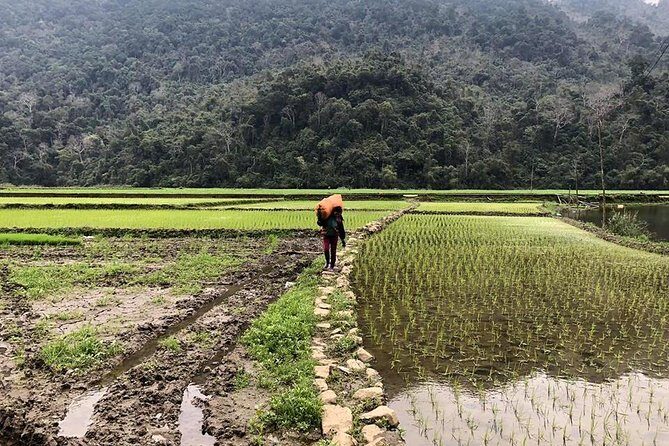 5-Day Adventure To North Vietnam: Ba Be Lake And Ha Giang Loop - What Makes This Tour Stand Out?