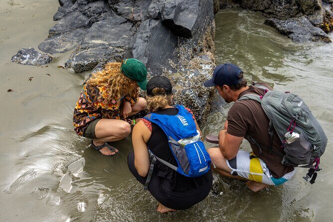5-Day Adventure Tour in Vancouver Island Exploration - What We Found Particularly Valuable