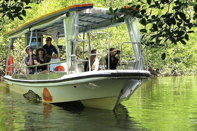 5-Day Best of Cairns with Daintree, Kuranda, and Great Barrier Reef - Final Thoughts: Who Should Consider This Tour?