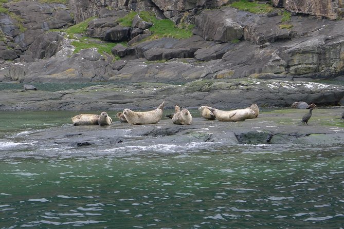 5-Day Best of Scotland Experience From Glasgow - Accommodations and Meals