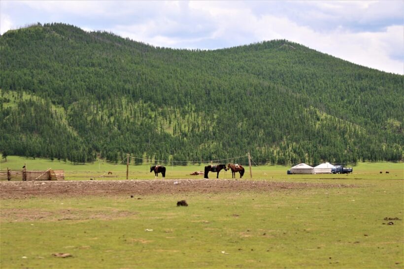5 day Central Mongolia and Nomad stay tour - Who Should Consider This Tour?