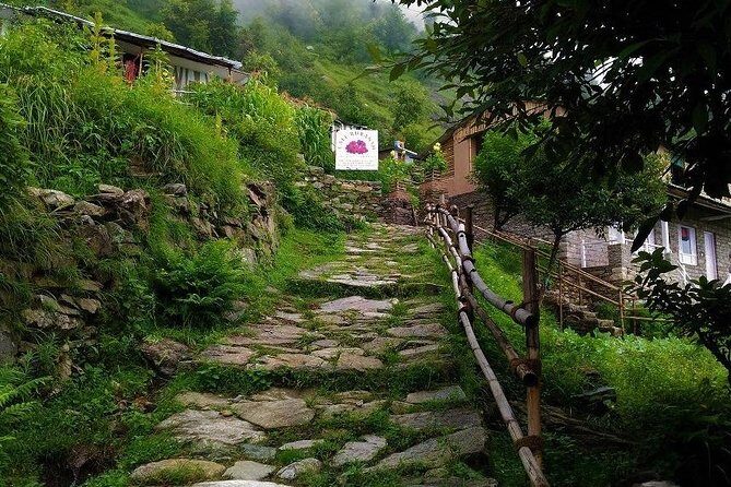 5-day Chopta trek with suite stay - Setting the Scene: What to Expect During Your 5 Days