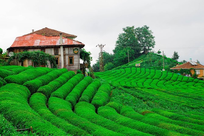 5 Day Enjoy Black Sea Tour - Key Points