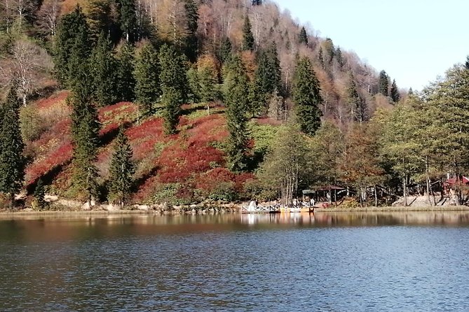 5 Day Enjoy Black Sea Tour - Indulge in Regional Cuisine