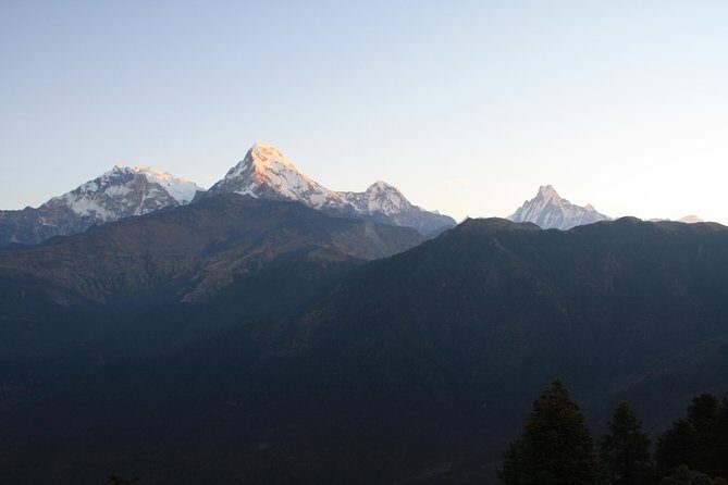 5-Day Ghorepani Poon Hill Trek in Annapurna Region - The Experience and Value