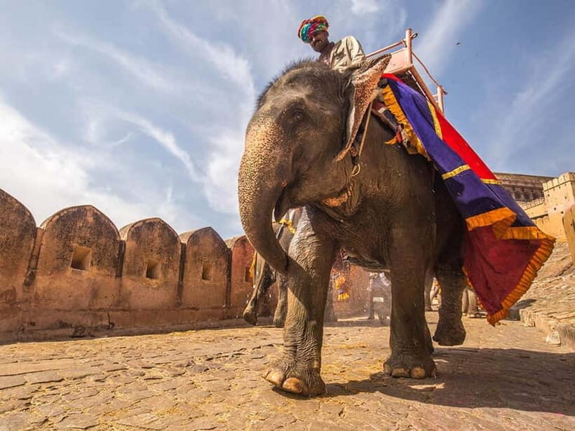 5-Day Golden Triangle Tour: Delhi, Agra & Jaipur - Key Points