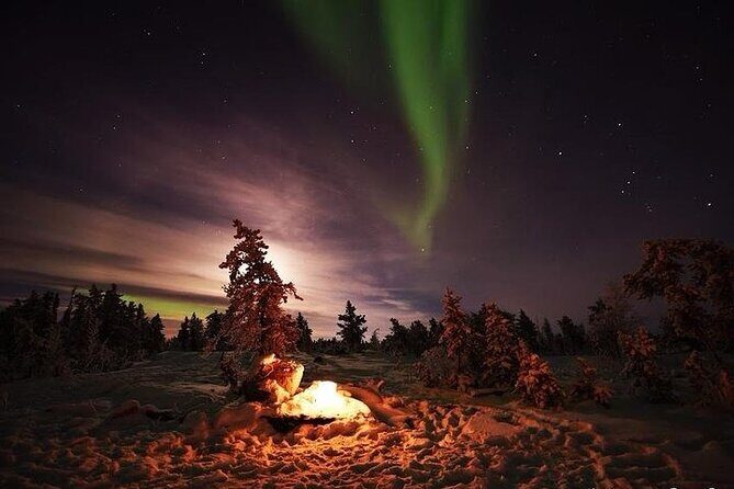 5-Day Guided Tour to Yellowknife Aurora Viewing - An Honest Look at the Yellowknife Aurora Viewing Tour