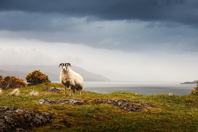 5-Day Iona, Mull and the Isle of Skye Small-Group Tour From Edinburgh - Inclusions and Accommodation