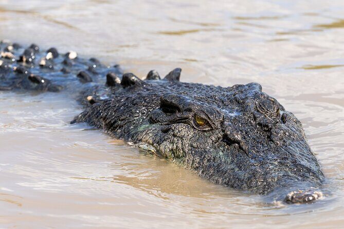 5 Day Kakadu Katherine Gorge Litchfield 4WD Camping Adventure - Key Points