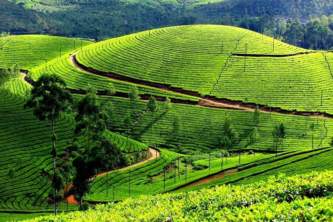 5 Day Kerala Private houseboat incl. Resort, Hotel, Cab Tourved - Wildlife & Adventure: Periyar & Thekkady