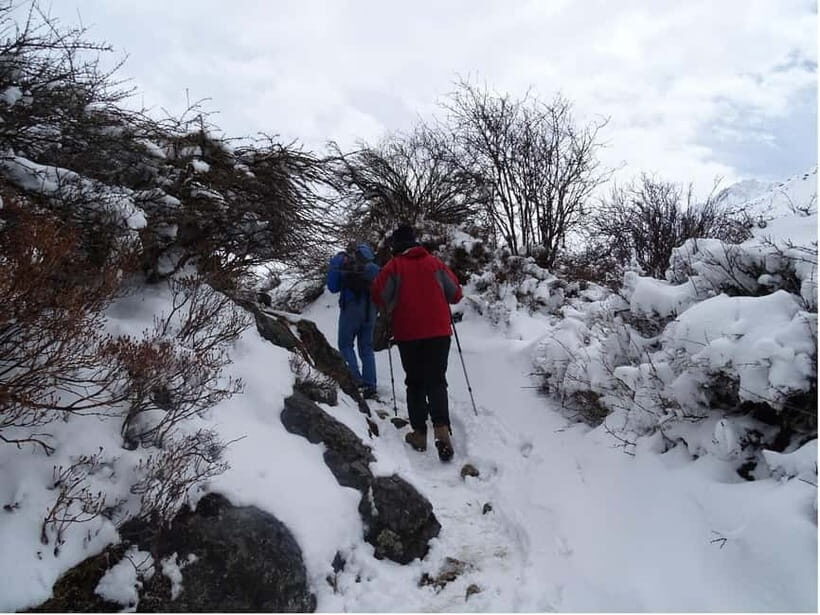 5 Day Langtang Valley Trek; Guide; Transport; permit - Exploring the 5-Day Langtang Valley Trek: A Practical Review for Adventurers