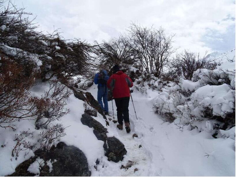 5 Day Langtang Valley Trek; Guide; Transport; permit - An In-Depth Look at the Langtang Valley Trek Experience