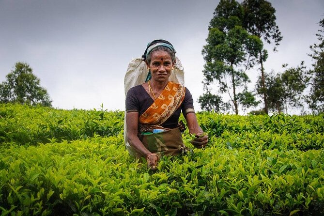 5 Day Multi-City Sightseeing Tour - Final Thoughts