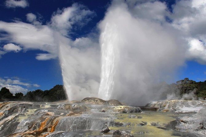 5-Day New Zealand North and South Island Highlights Tour - Who Is This Tour Best For?