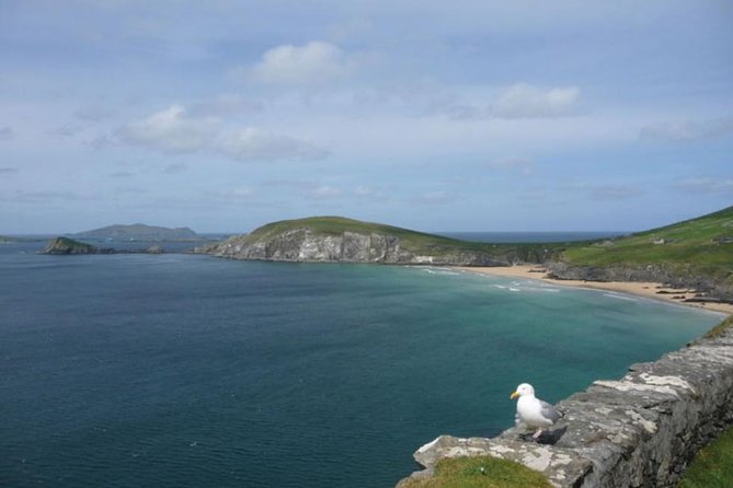 5-Day Northern Ireland and Atlantic Coast Small-Group Tour From Dublin - Traveler Information and Restrictions