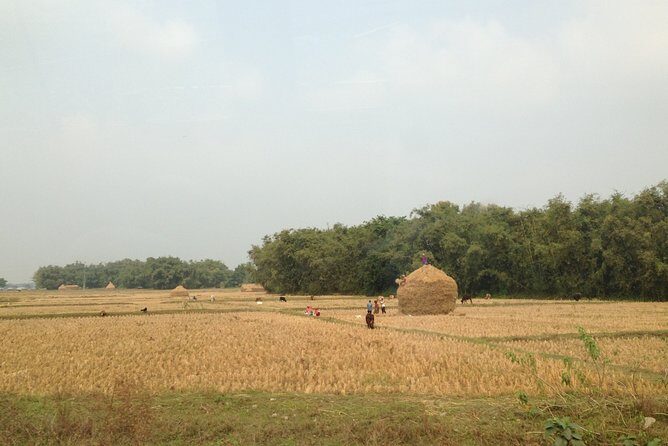 5-Day Private Farming Experience in Nayapul with Accommodation - Key Points