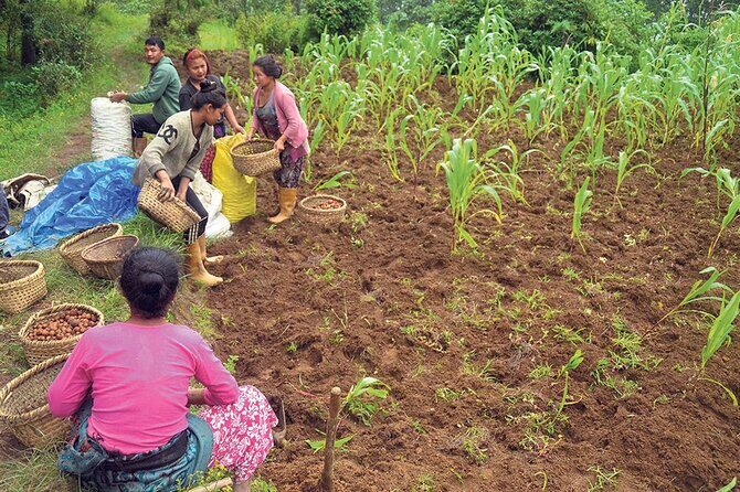 5-Day Private Farming Experience in Nayapul with Accommodation - Days 1 & 2: Learning the Foundations of Traditional Farming