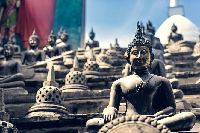 5-Day Private Guided Tour in Sri Lanka - An In-depth Look at the 5-Day Sri Lanka Tour