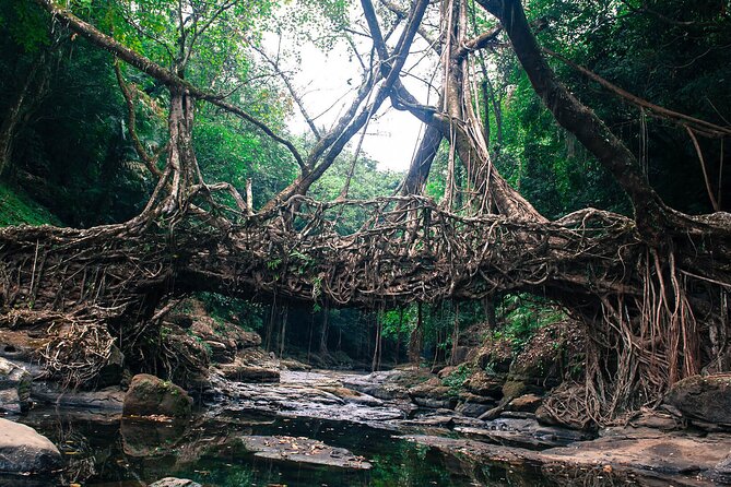 5-Day Private Tour in Meghalaya with Meals and Accommodation - Why This Tour Offers Good Value