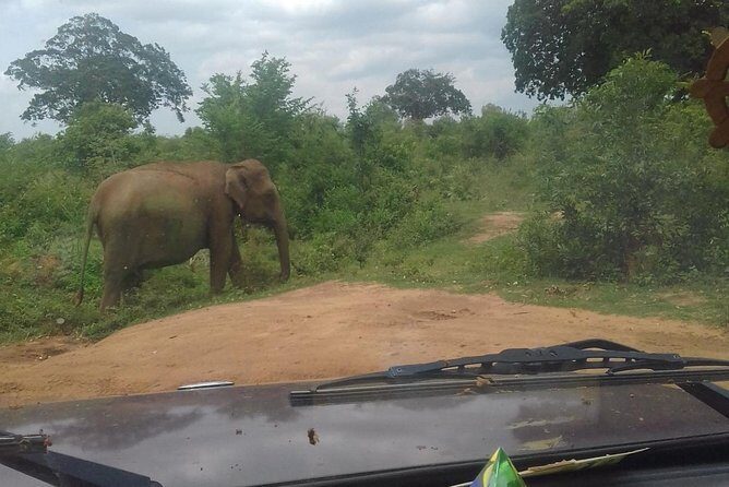 5 Day Private Tour Sri Lanka - Key Points