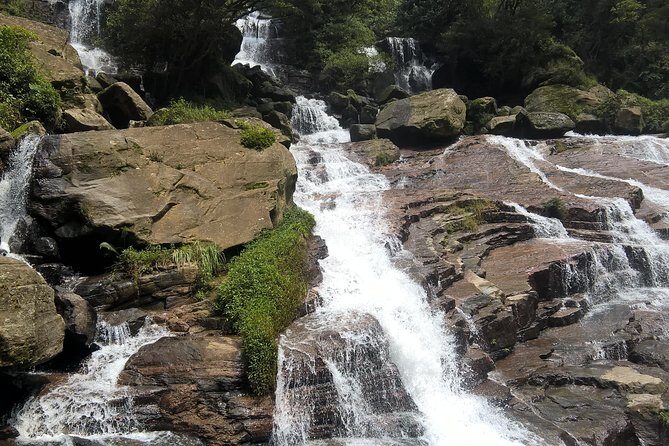 5 Day Private Tour Sri Lanka - FAQs