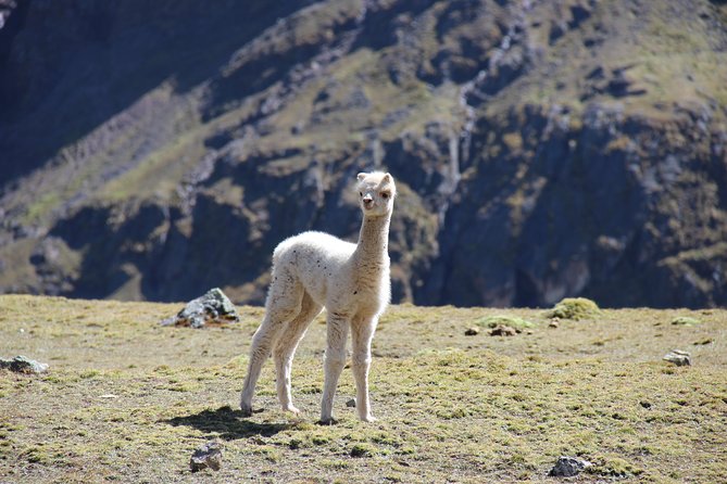 5 Day - Salkantay Trek to Machu Picchu - Group Service - Pickup and Meeting Information