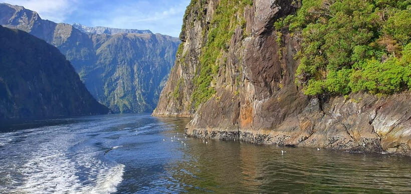 5 Day South Island NZ Tour from Dunedin to Christchurch - Final Thoughts: Who Will Love This Tour?