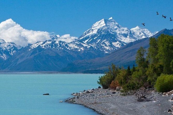5-Day South Island Tour from Christchurch - Final Thoughts: Is This Tour Right for You?