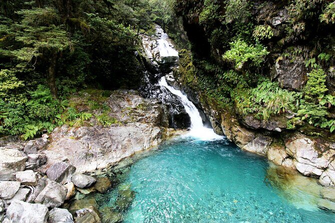 5 Day South Island Tour from Queenstown including Stewart Island - FAQ