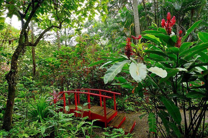 5 Day St Lucia Adventure Soufriere Pigeon Island Marigot Bay - Who Will Love This Tour