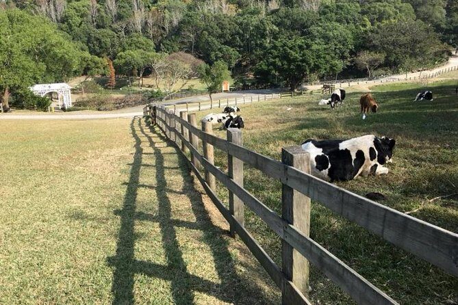 5-day Taiwan Family Fun Private Tour - FAQ