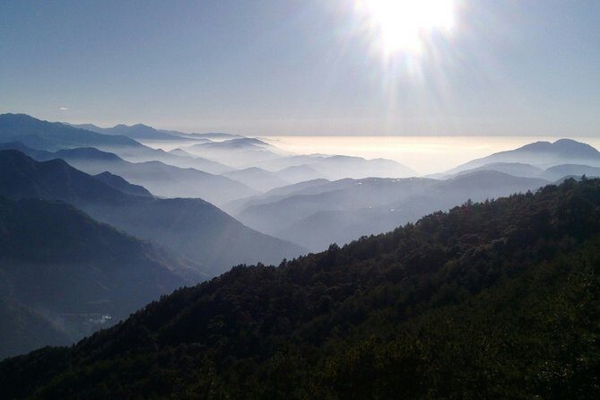 5-Day Taroko Gorge, Sun Moon Lake and Alishan Private Tour - Evaluating the Value and Experience