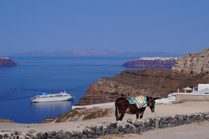 5 Day to Syros, Santorini a Cycladic Architecture Tour - Who Will Love This Tour?