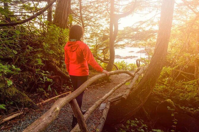 5 Day Tofino Yoga and Wellness Retreat with a Side of Adventure - Key Points