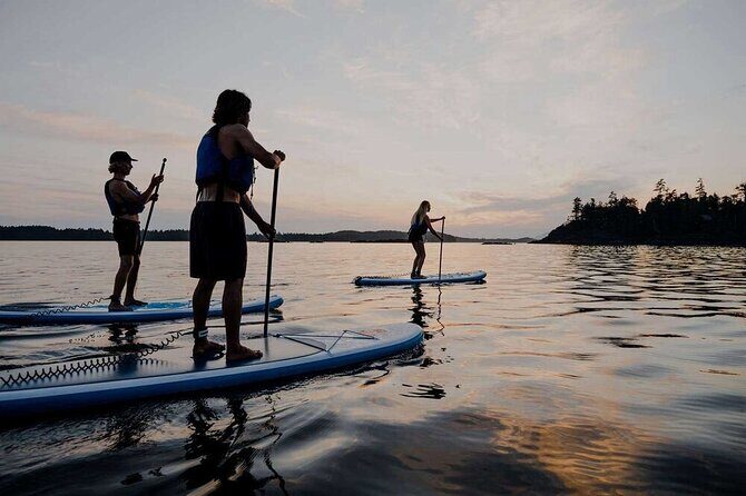 5 Day Tofino Yoga and Wellness Retreat with a Side of Adventure - Who This Tour Is Best For