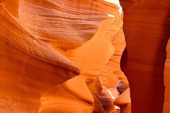 5 Day Tour L. Angeles Las Vegas Yellowstone & Grand Teton from LA - Who Will Love This Tour?