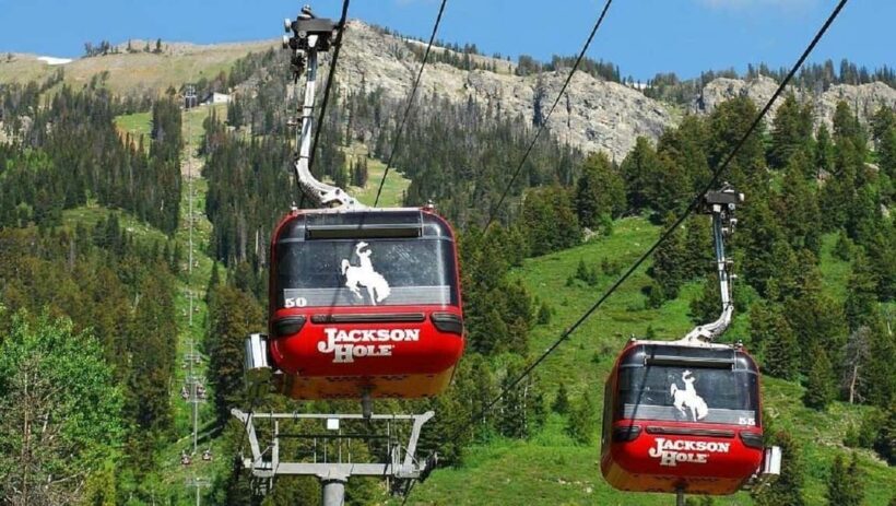 5-Day Tour: LA, Vegas, Antelope Canyon & National Parks - Key Points