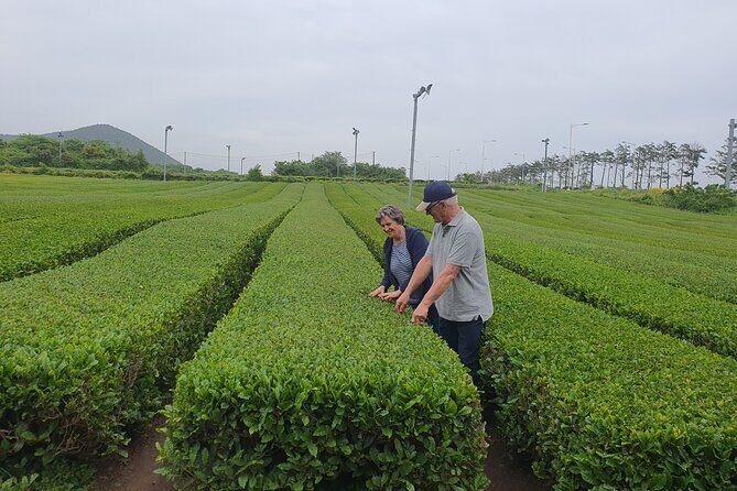 5 day western Korea tour(Jeonju, Yeosu, Suncheon, Gongju & etc) - Why This Tour Stands Out