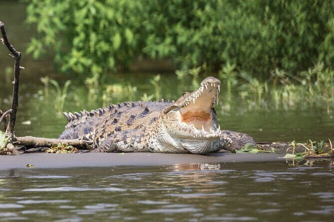 5 Day Wildlife Safari Tour in Sri Lanka - What’s Included and What to Consider
