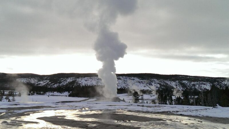 5-Day Winter Yellowstone Wildlife Tour - A Well-Rounded Yellowstone Experience in Winter