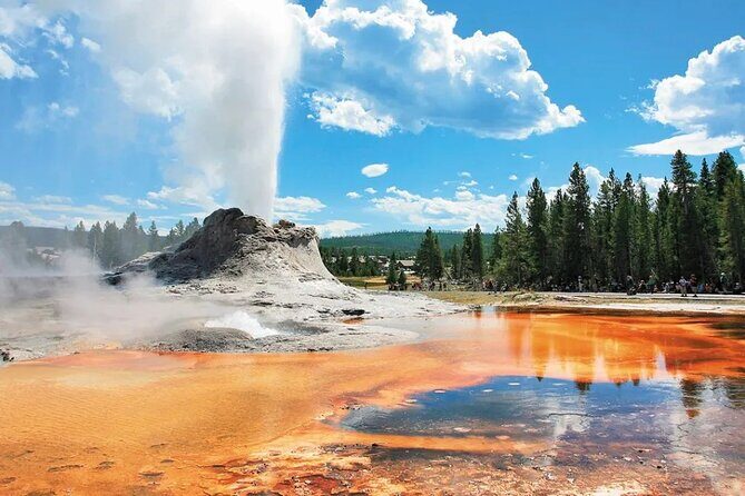 5-Day Yellowstone and Mount Rushmore Tour from Salt Lake City - The Sum Up