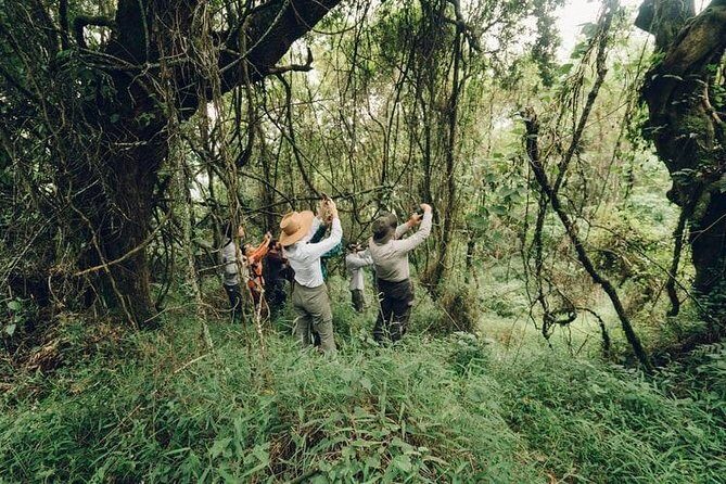 5 Days adventurous Chitwan and pleasing Pokhara Tour from Kathmandu - FAQs