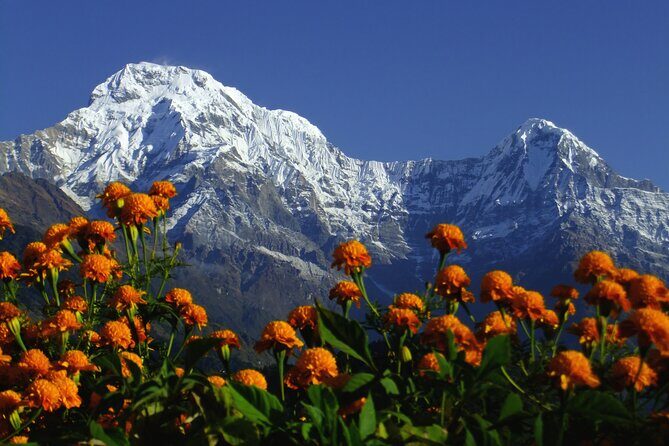 5 Days Annapurna Base Camp Trek - Starting the Journey: From Kathmandu to Pokhara and Beyond