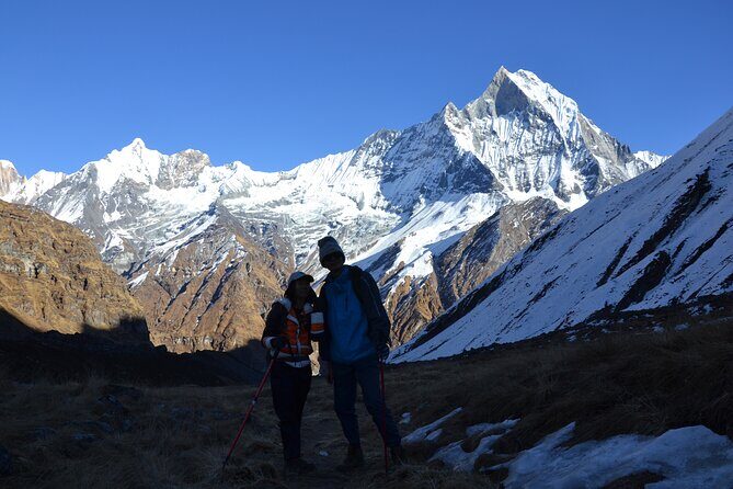 5 Days Annapurna Base Camp Trek - Authentic Experiences and Traveler Feedback