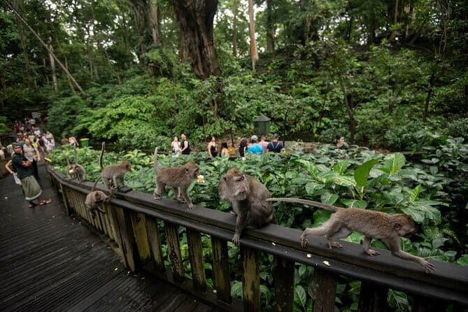 5 Days Bali Tour Nature, Culture & Adventure - A Deep Dive into the 5-Day Bali Tour