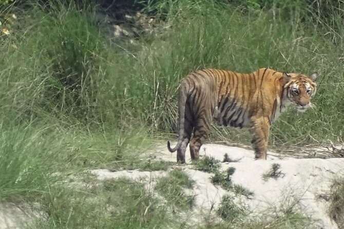 5 Days Bardia National Park Tour with Palpa Overnight Stay - An In-Depth Look at the 5-Day Tour Experience