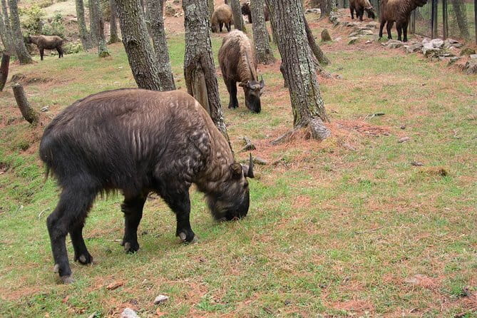 5 Days- Bhutan Cultural Tour - Authentic Encounters & Hidden Gems