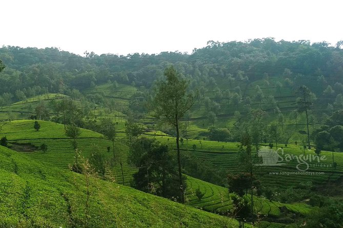 5 Days Budget Kerala Tour Packages by Sanguine Holidays - Who Should Consider This Tour?