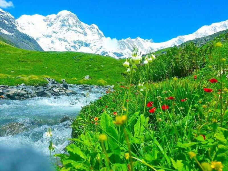 5 Days Easy Annapurna Base Camp Trek - Transport and Logistics